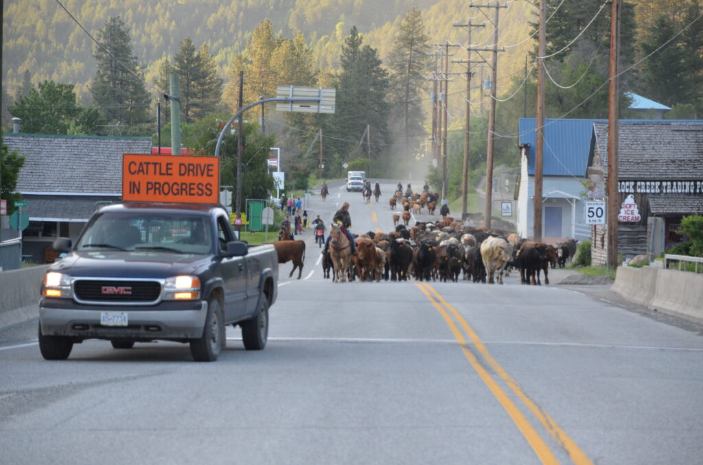 Home - West Boundary Connect