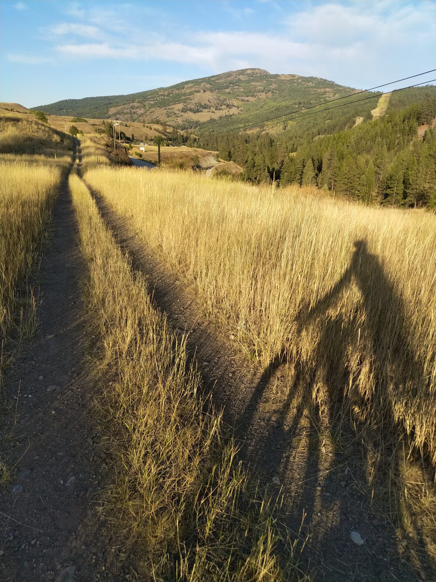 Live Here - West Boundary Connect